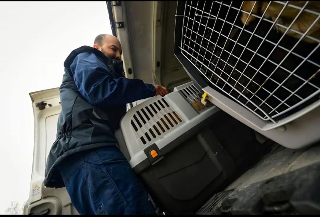 Track Packages – Nippon Express